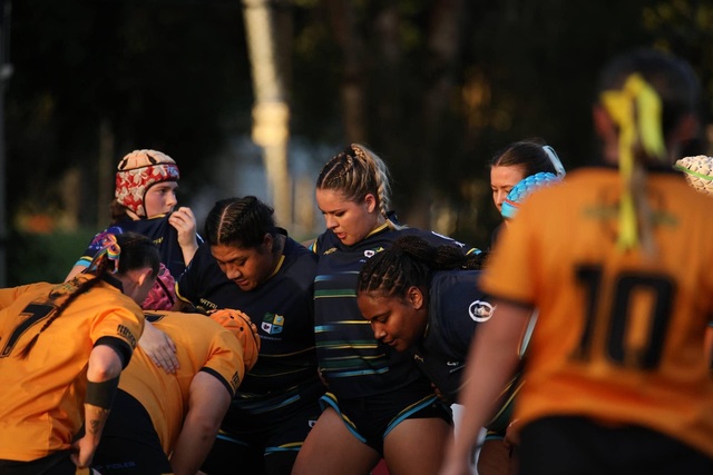 Western Downs footy stars reach rugby pinnacle | Western Downs Today