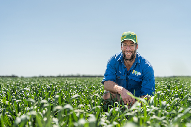 Dalby Wheatmen honour club roots with unique fundraiser | Western Downs ...