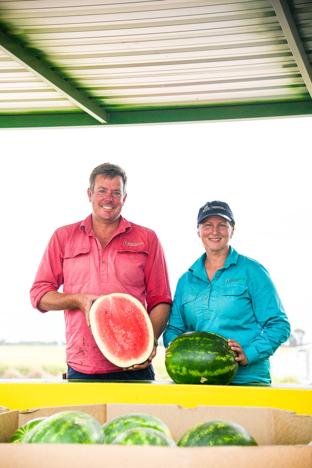 Paramagh Farming one in a melon | Western Downs Today
