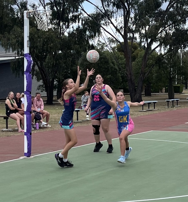 Young netball stars shine | Western Downs Today